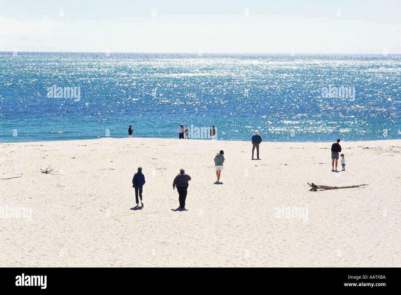 People walking at beach Stock Photo - Alamy