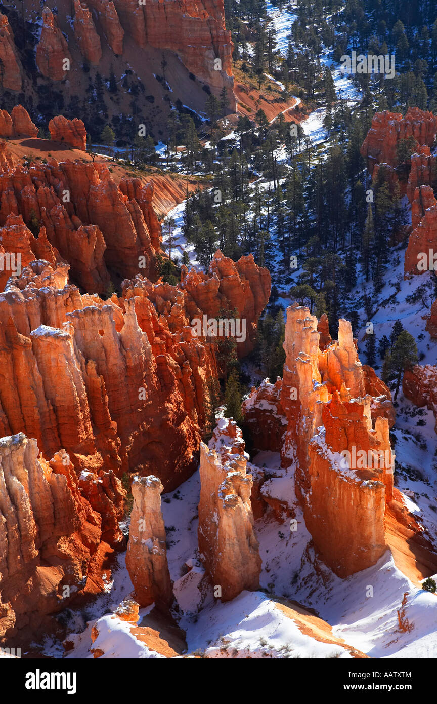 Winter in Bryce Canyon National Park Utah USA Stock Photo - Alamy