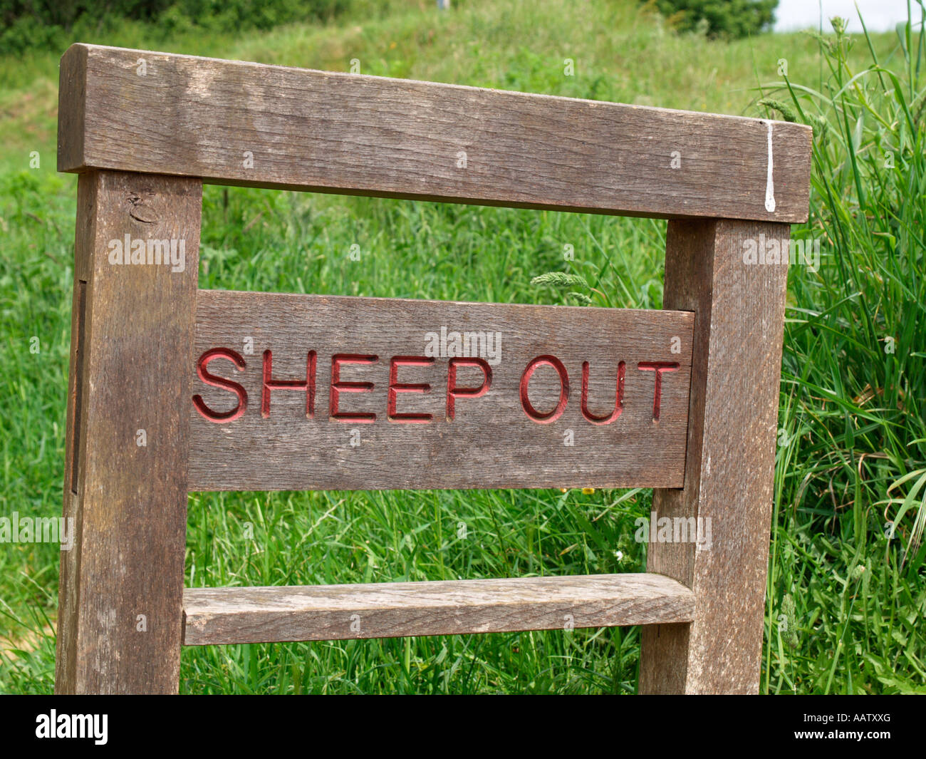 wooden sign on common land saying sheep out Stock Photo - Alamy