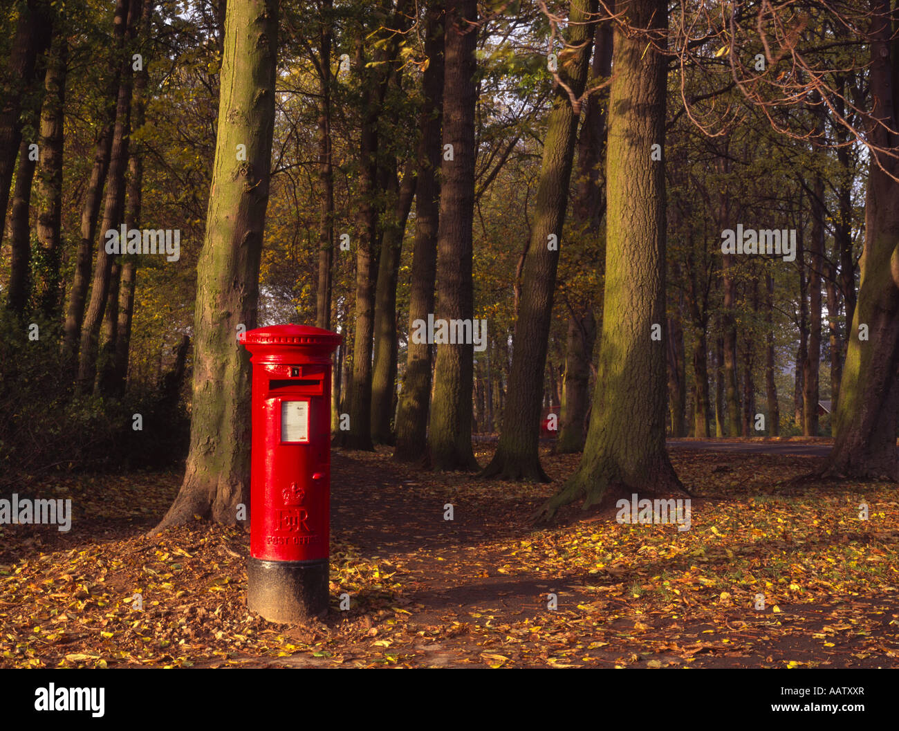 Mikekiplingcom High Resolution Stock Photography and Images - Alamy