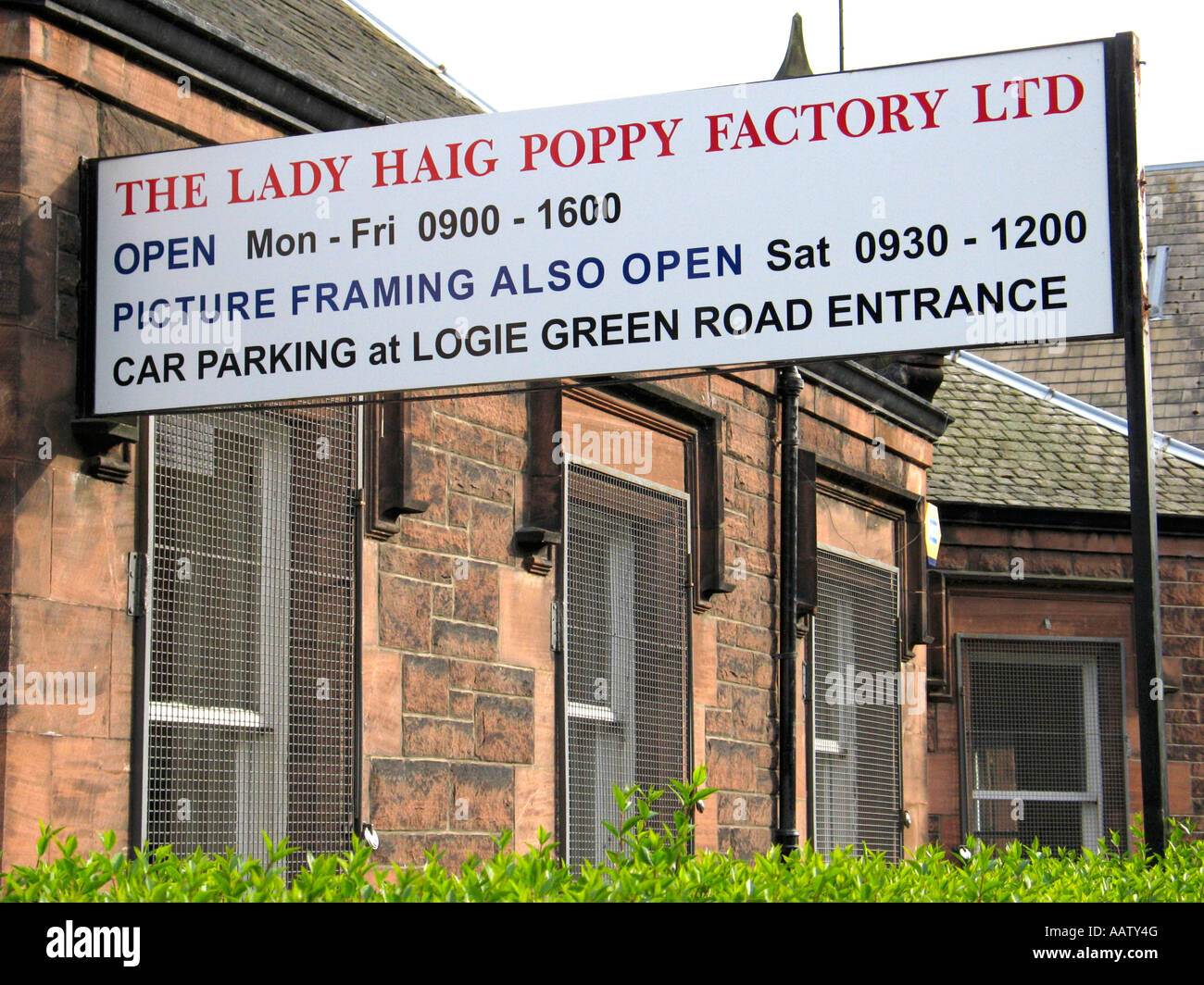 Poppy appeal scotland hi-res stock photography and images - Alamy