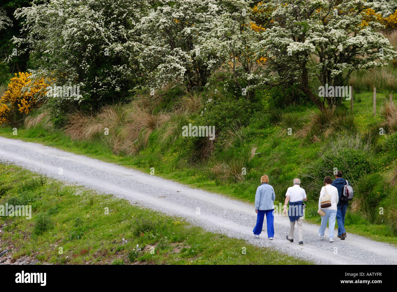 People walking at the country road Stock Photo - Alamy