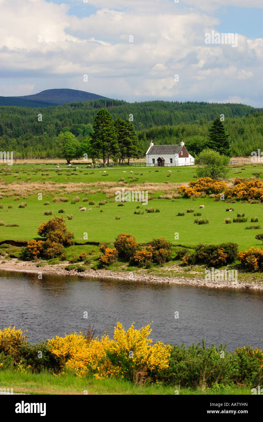 Small scottish hill farm hi-res stock photography and images - Alamy