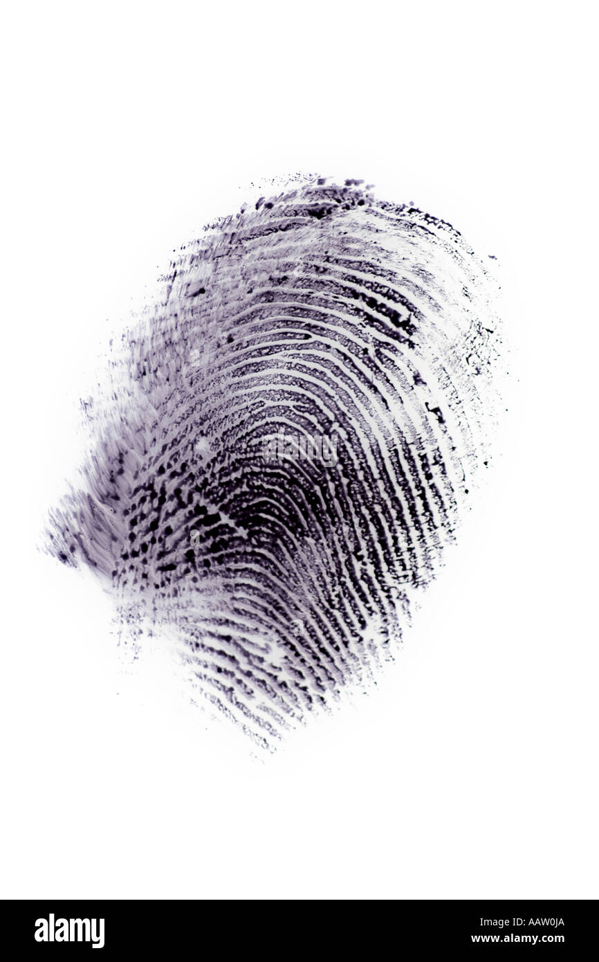 Fingerprint evidence Cut Out Stock Images & Pictures - Alamy