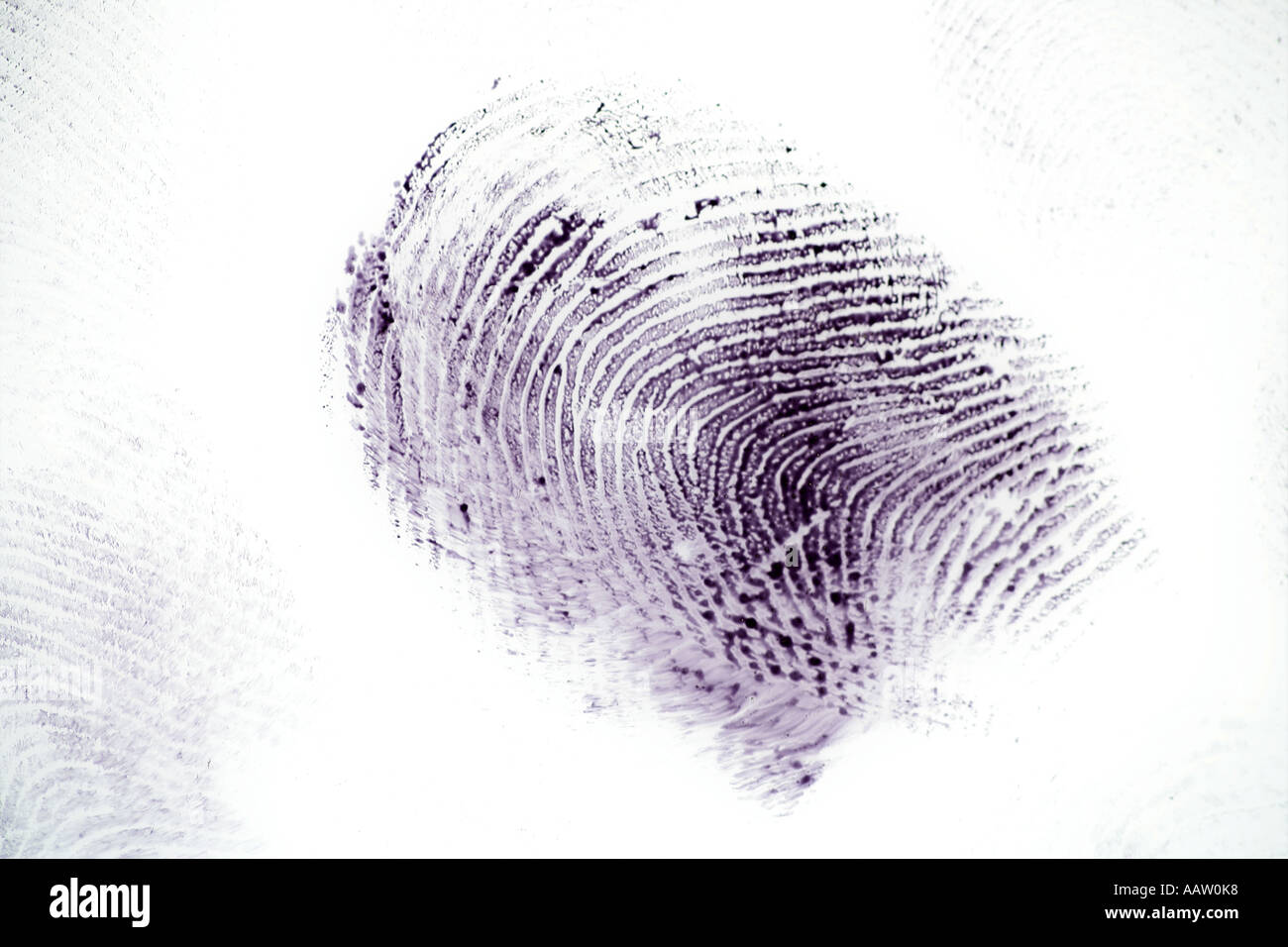 White Background Marked with Fingerprints Stock Photo - Alamy