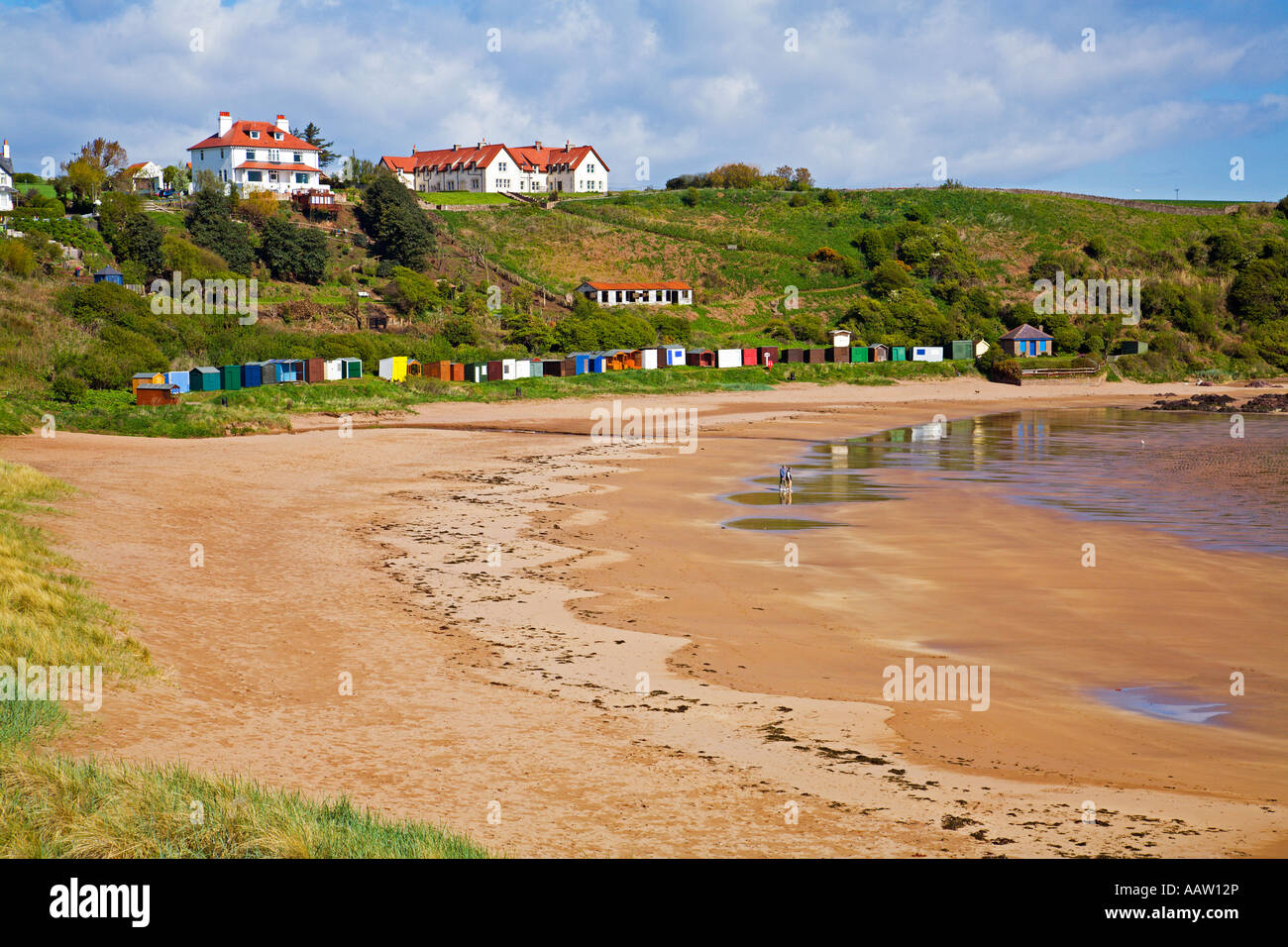 Coldingham hi-res stock photography and images - Alamy