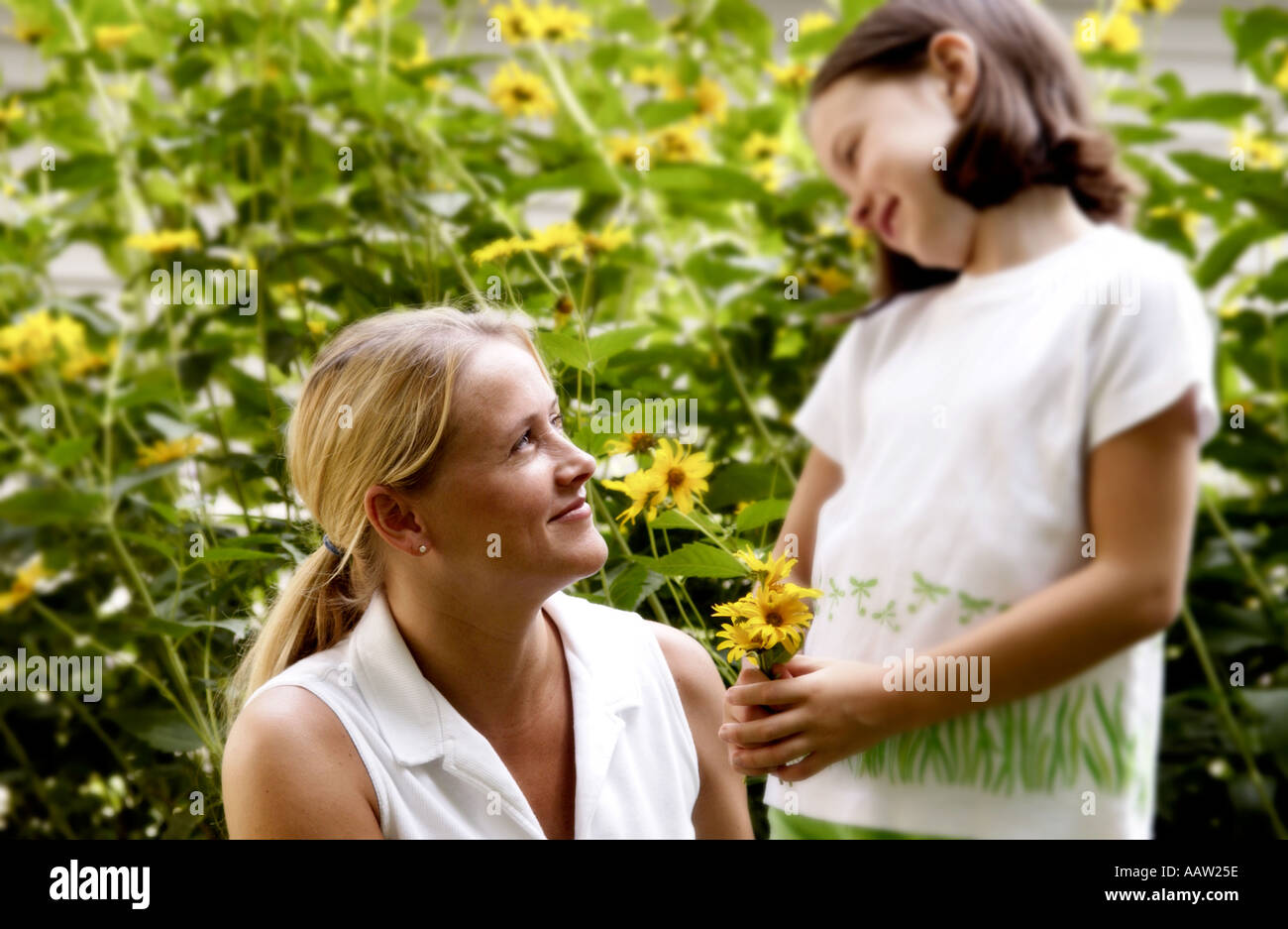 Daughter picking flowers for mother Stock Photo - Alamy