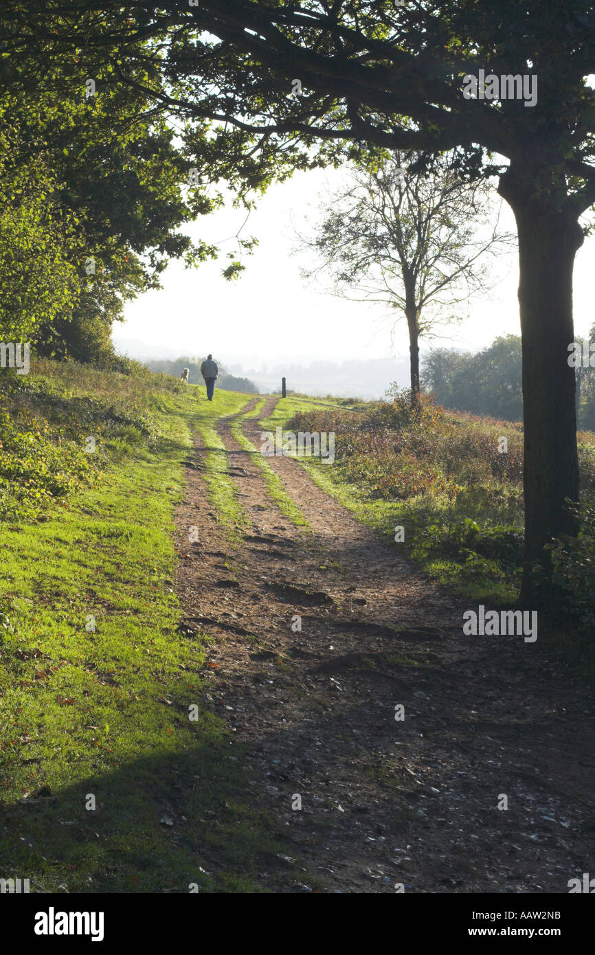 Newlands corner walk hi-res stock photography and images - Alamy