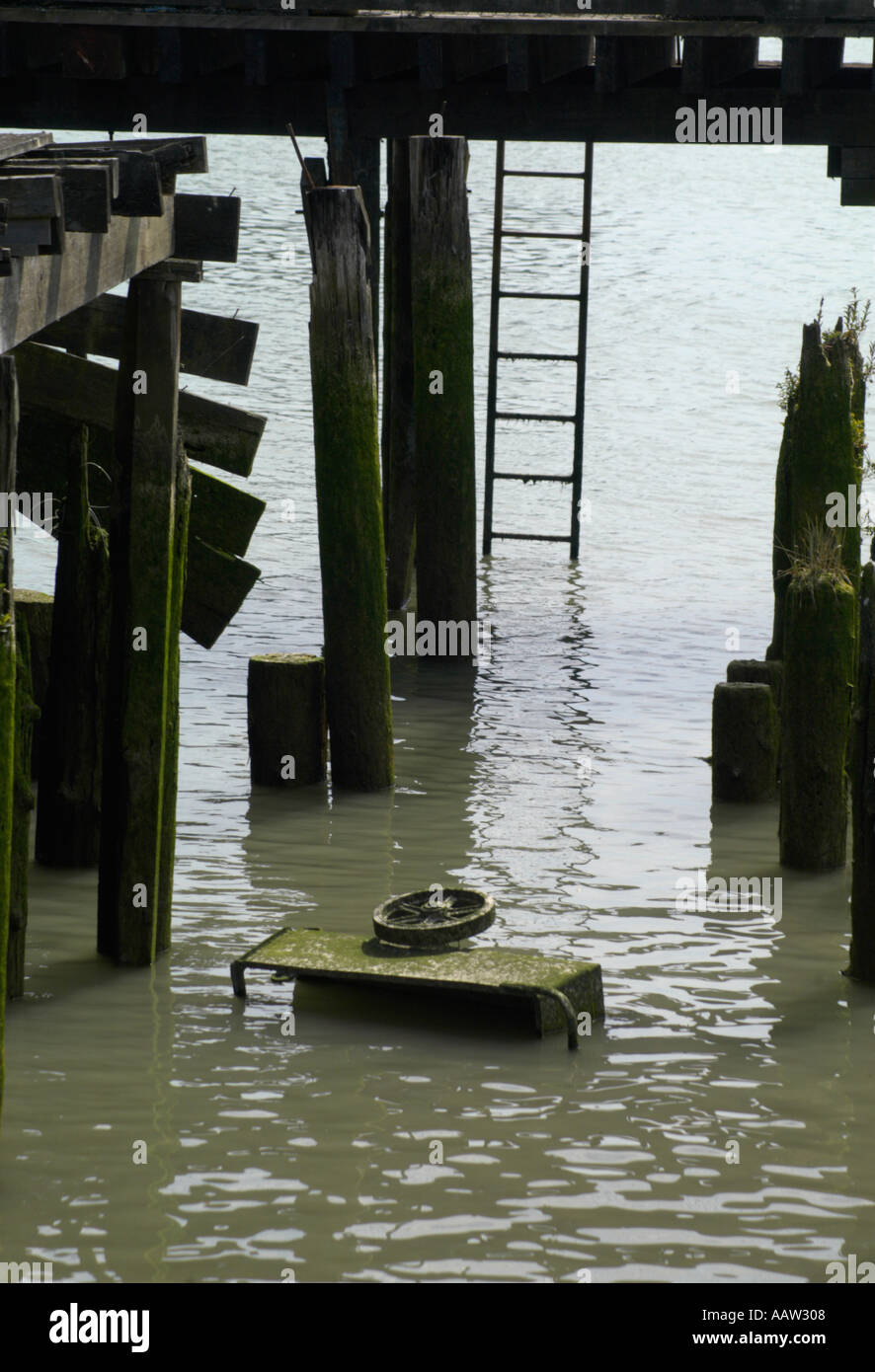 OLD DOCK WITH LADDER Stock Photo - Alamy