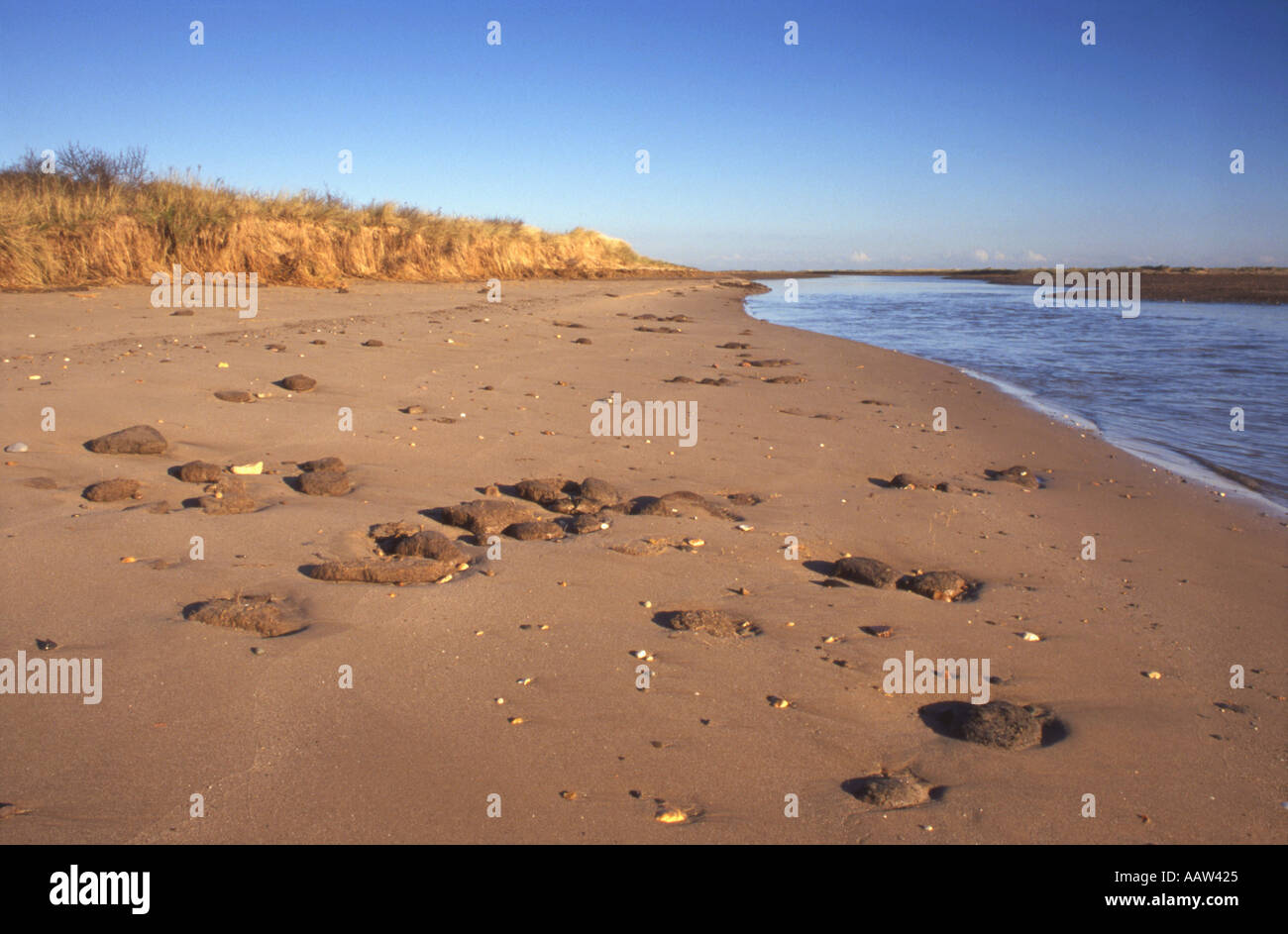 Gibraltar Point Nature Reserve Lincolnshire Stock Photo - Alamy