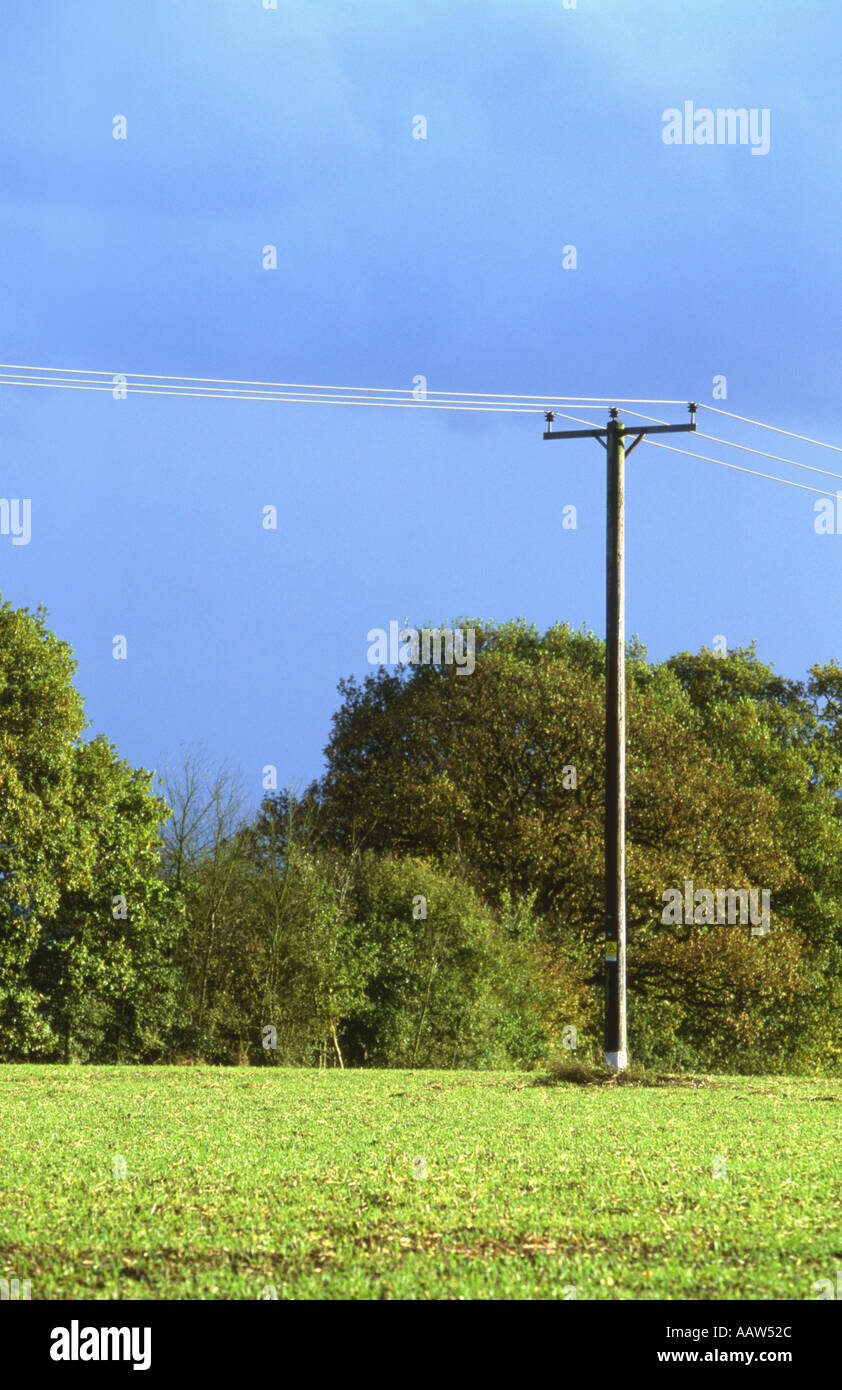 Telephone wires in countryside Stock Photo - Alamy