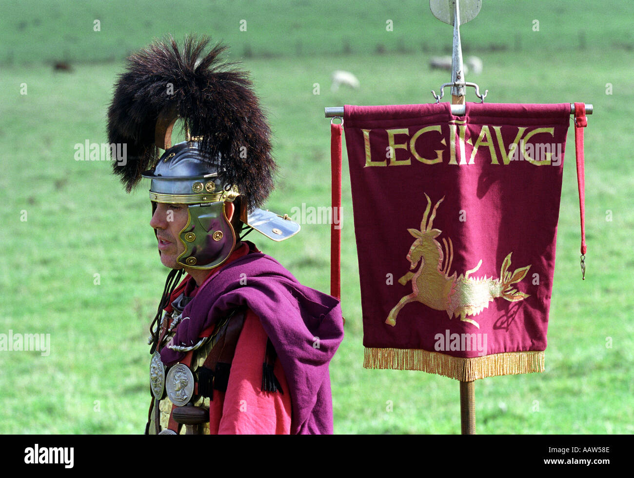 Roman standard hi-res stock photography and images - Alamy