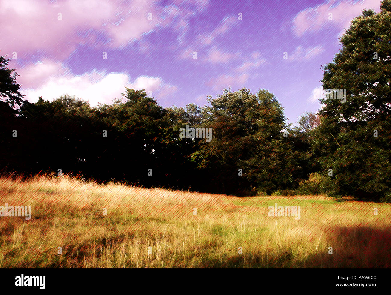 Altered image hi-res stock photography and images - Alamy