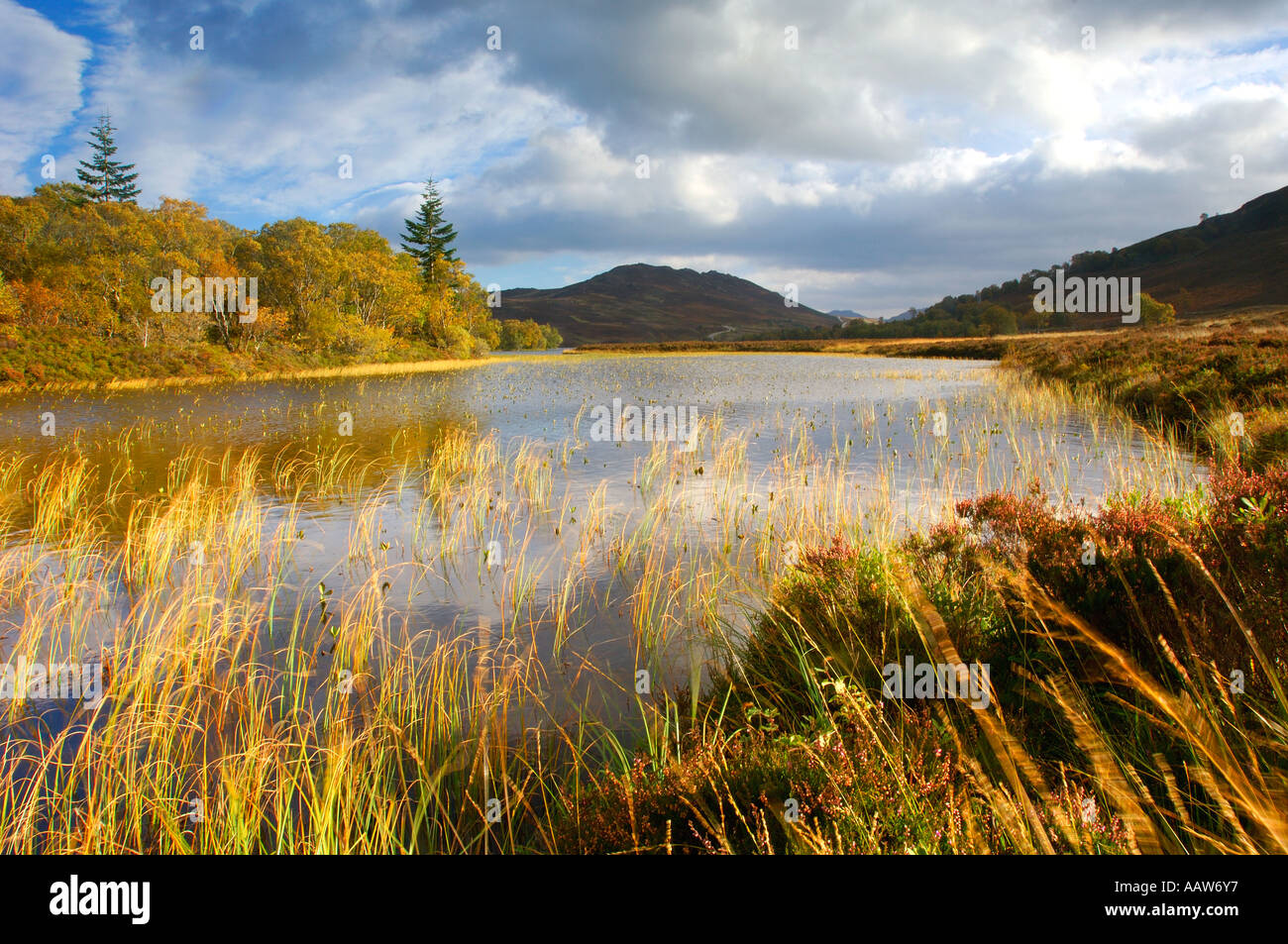 Tranquil image of Loch Tarff in the Scottish highlands with golden ...