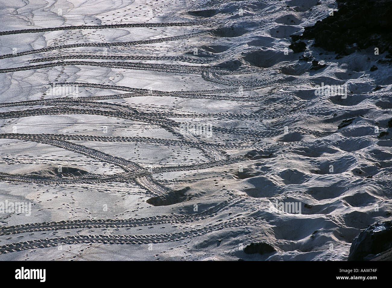 Sea turtle tracks in sand hi-res stock photography and images - Alamy