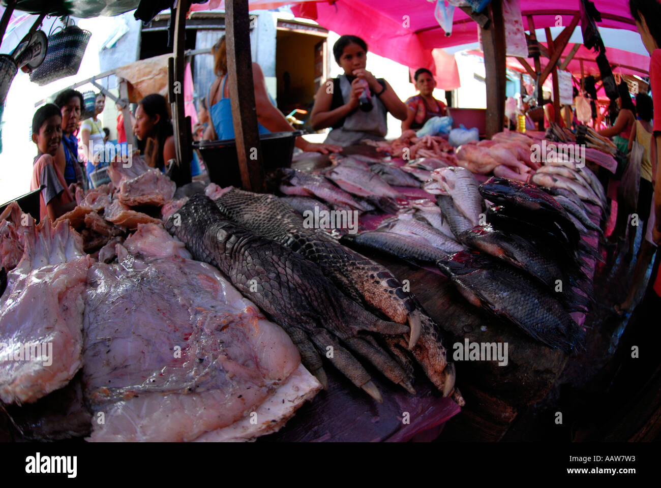 Caiman Meat for sale Belen Market, Iquitos, Peru Stock Photo - Alamy