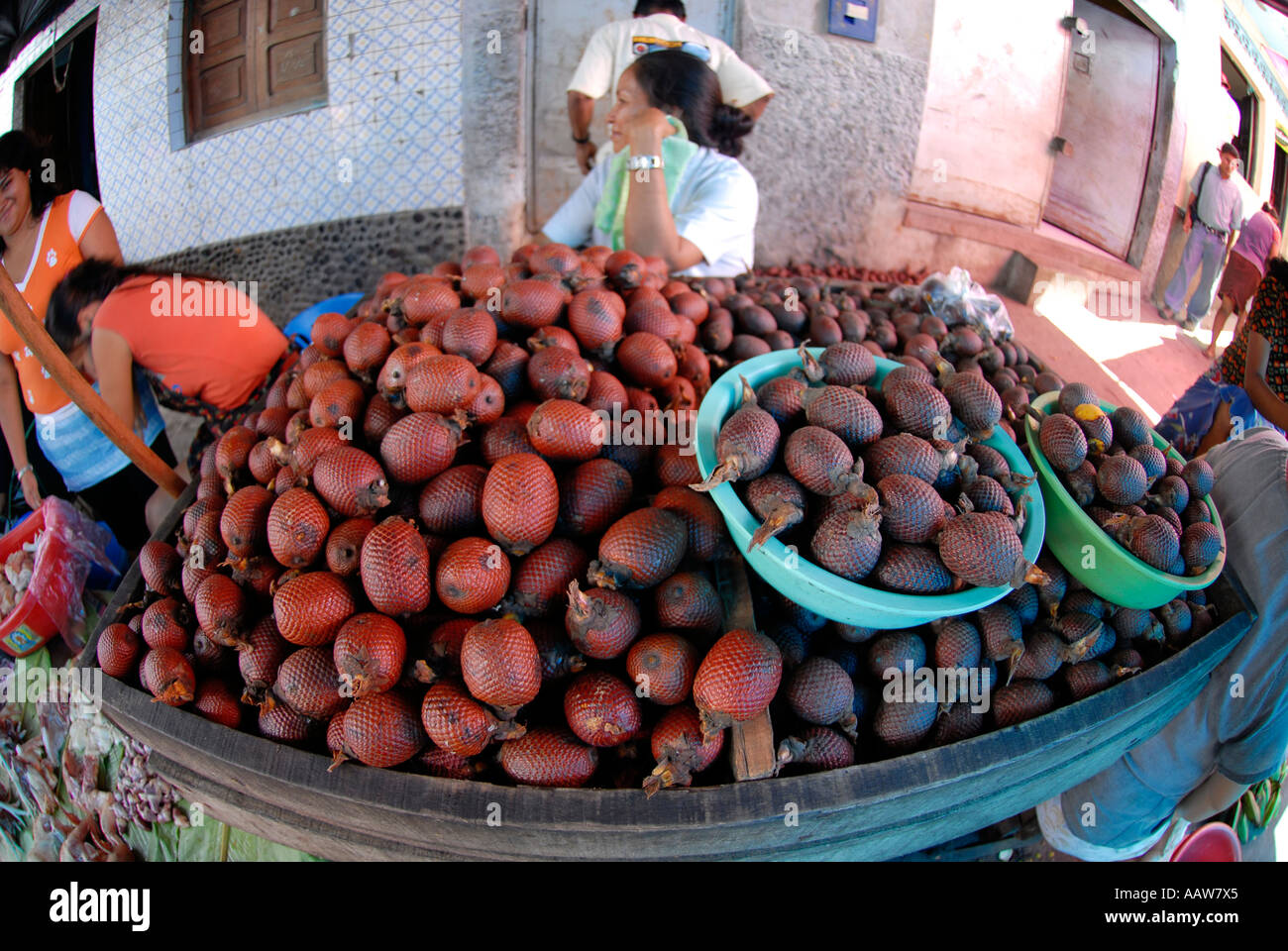 AGUAJE PALM OR BURITI PALM fruits Belen Market, Iquitos, Peru Stock ...
