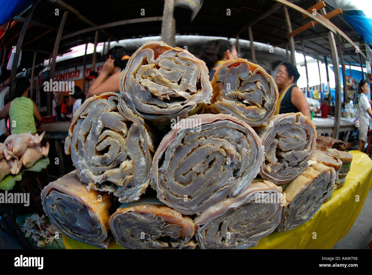 PAICHE or PIRARUCU salted fish Belen Market, Iquitos, Peru Stock Photo ...