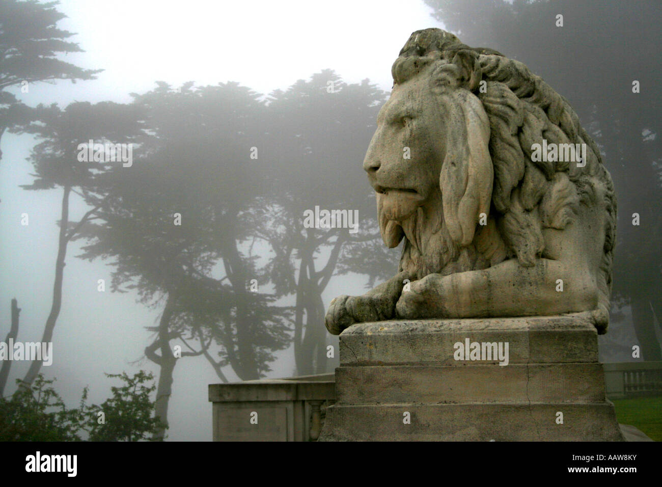 Lion Sculpture at Legion of Honor Museum, San Francisco, California ...