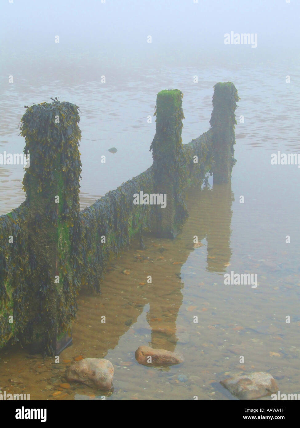 Misty beach in Kent Stock Photo - Alamy