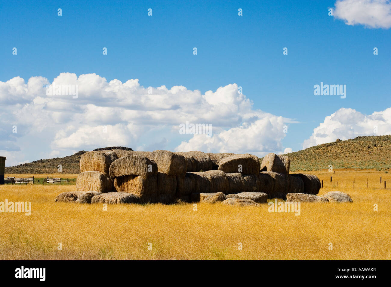 Stacked hay bails hi-res stock photography and images - Alamy