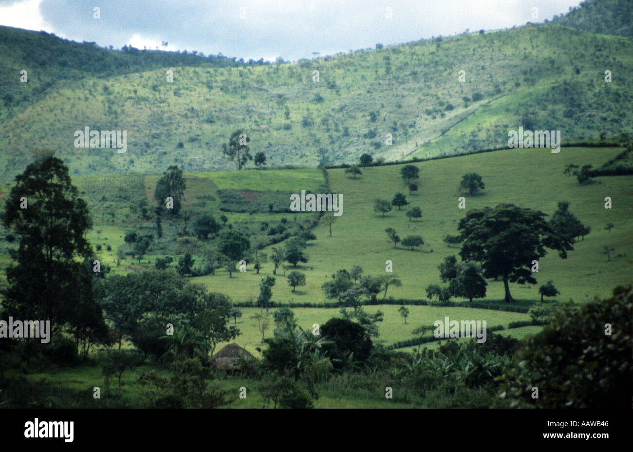 Landscape Queen Elizabeth II National Park Uganda Stock Photo - Alamy
