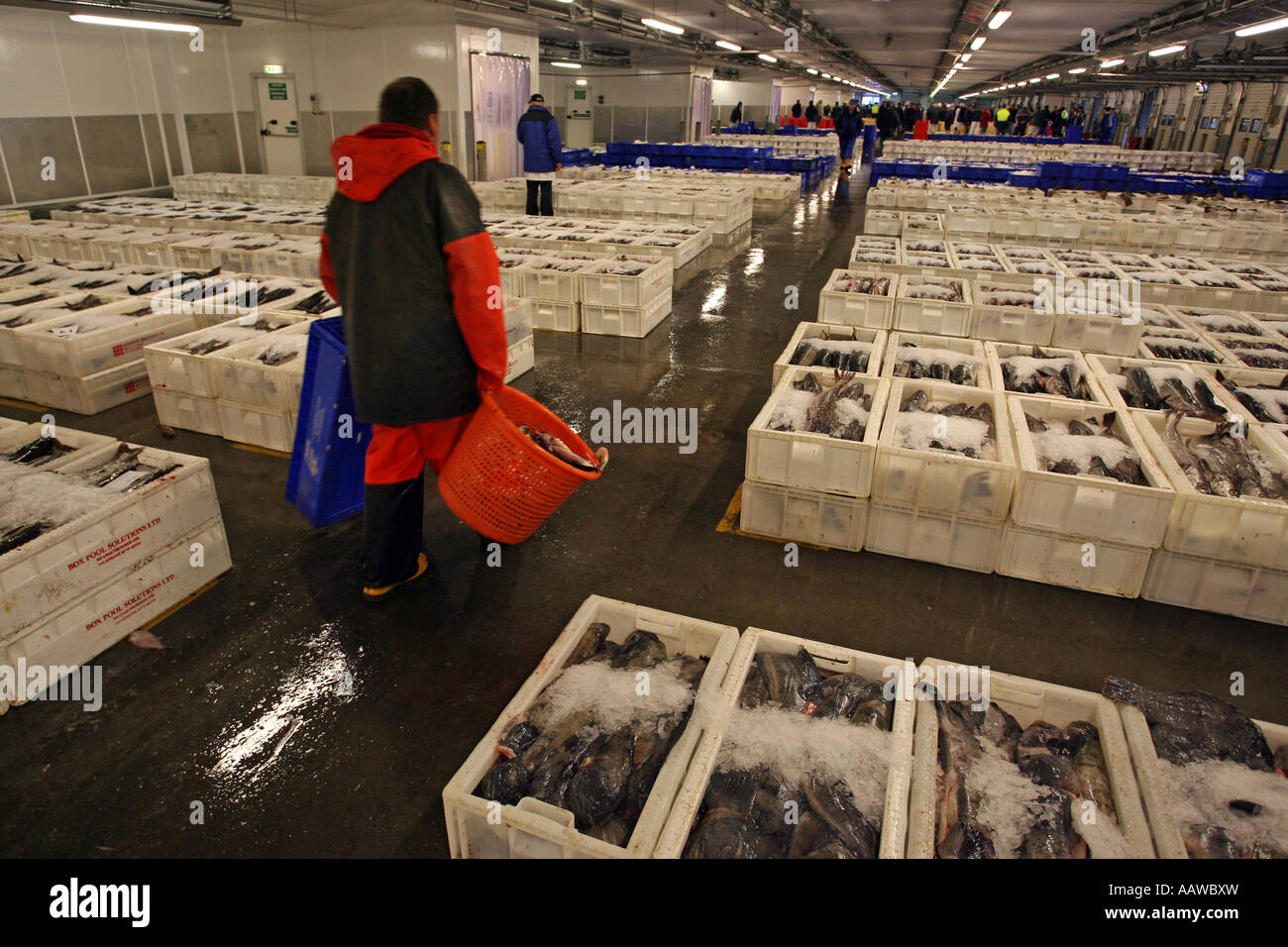 Peterhead Fishmarket High Resolution Stock Photography and Images - Alamy
