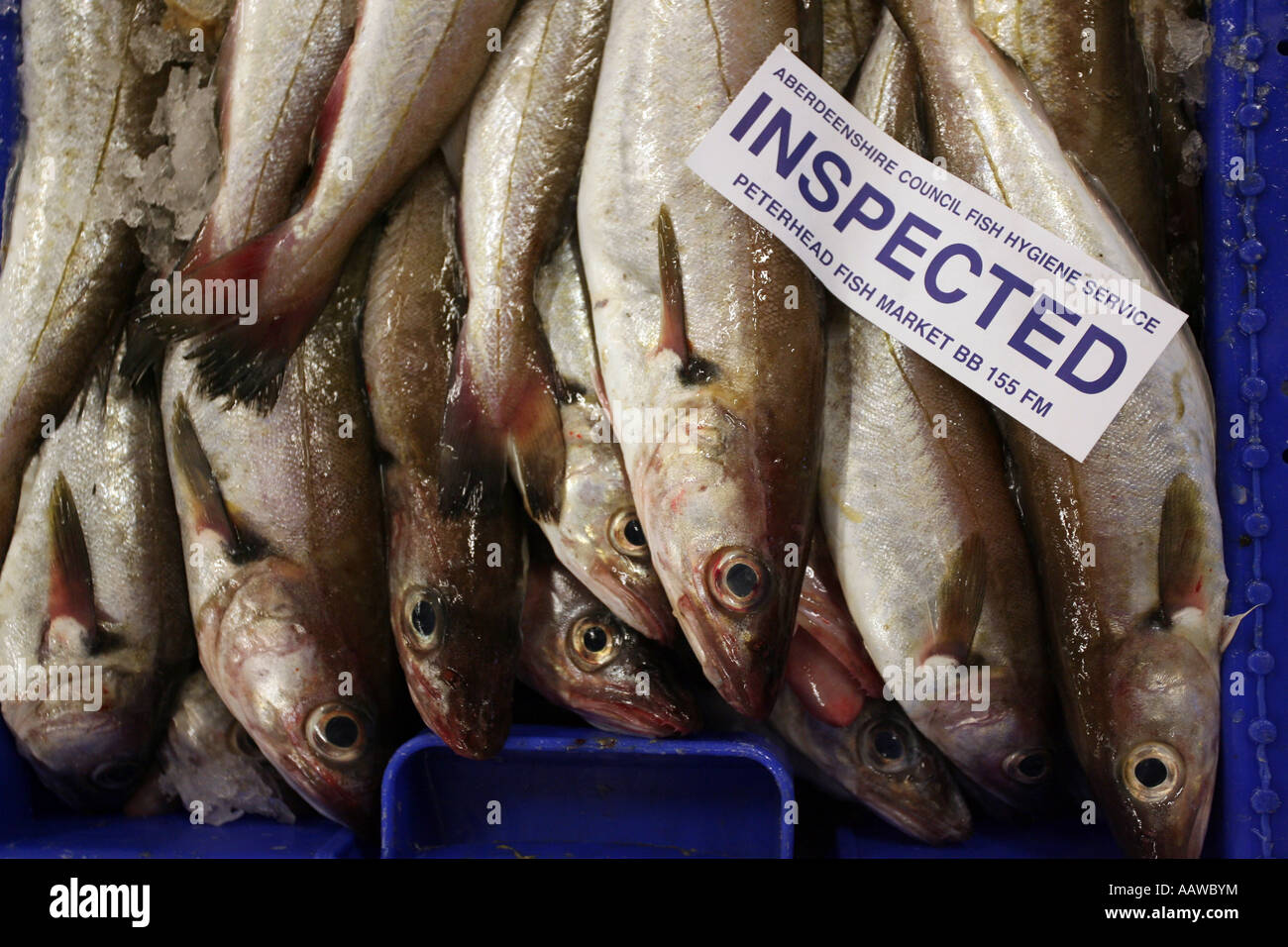 Boxes of fish go on sale at Peterhead Fishmarket at Peterhead Harbour ...