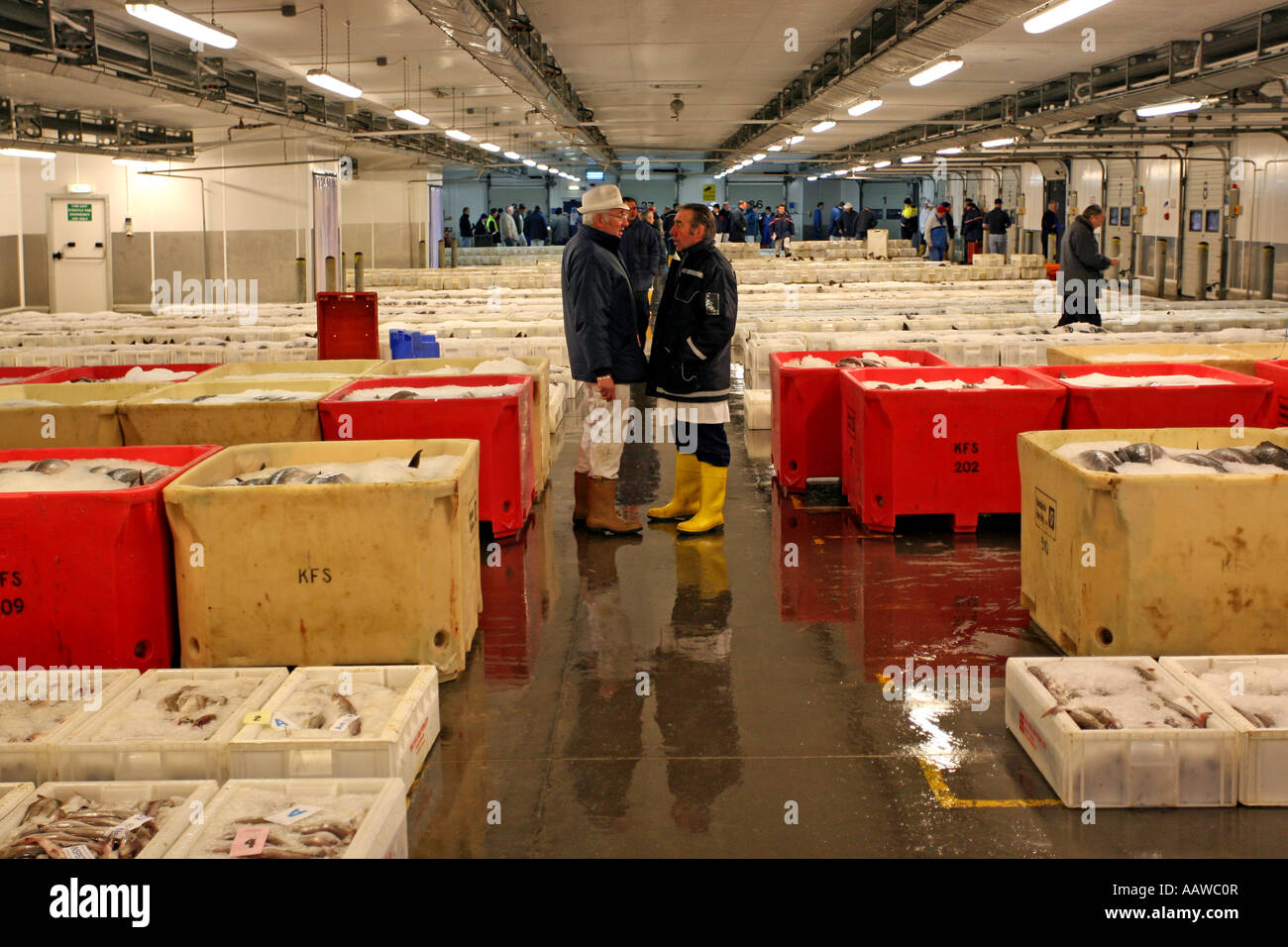 Peterhead Fishmarket High Resolution Stock Photography and Images - Alamy