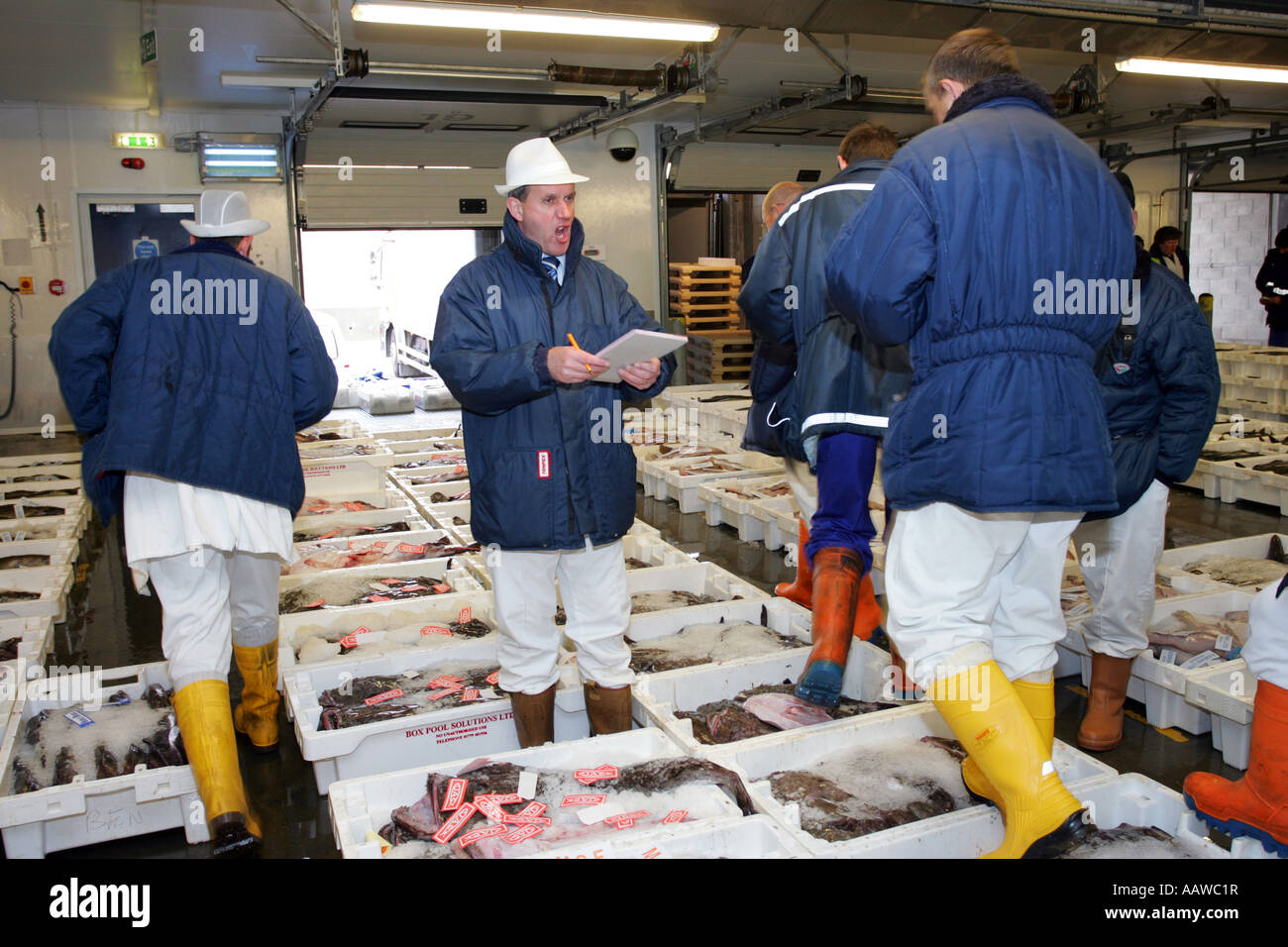 Peterhead fish market hi-res stock photography and images - Alamy