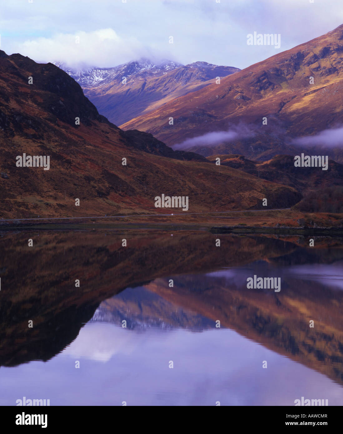 Glen Sheil High Resolution Stock Photography and Images - Alamy