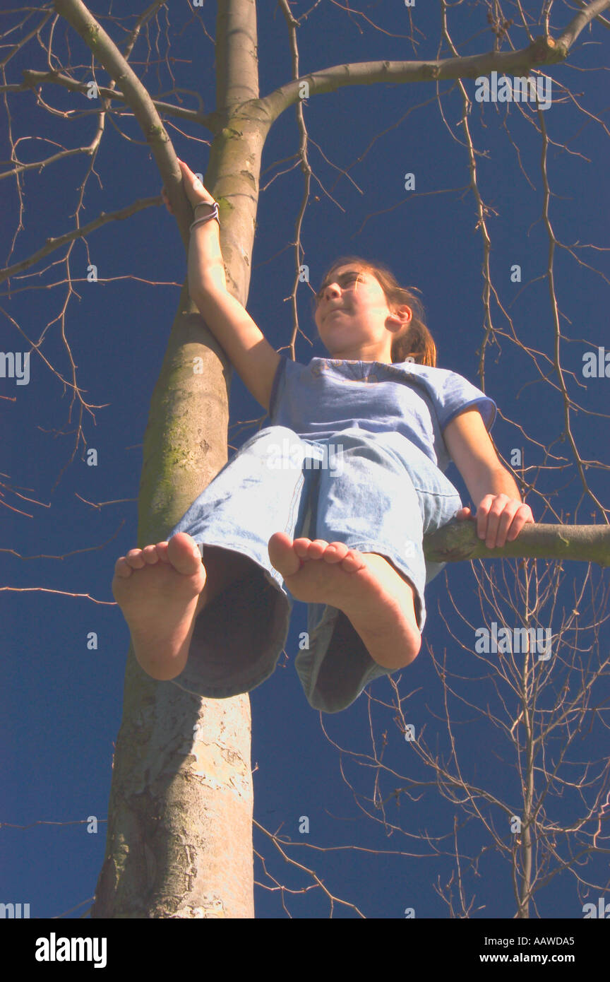 girl in tree Stock Photo - Alamy