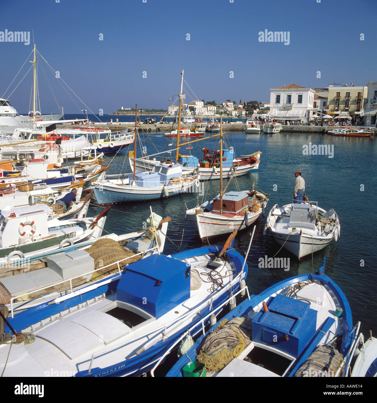 Dappia High Resolution Stock Photography and Images - Alamy