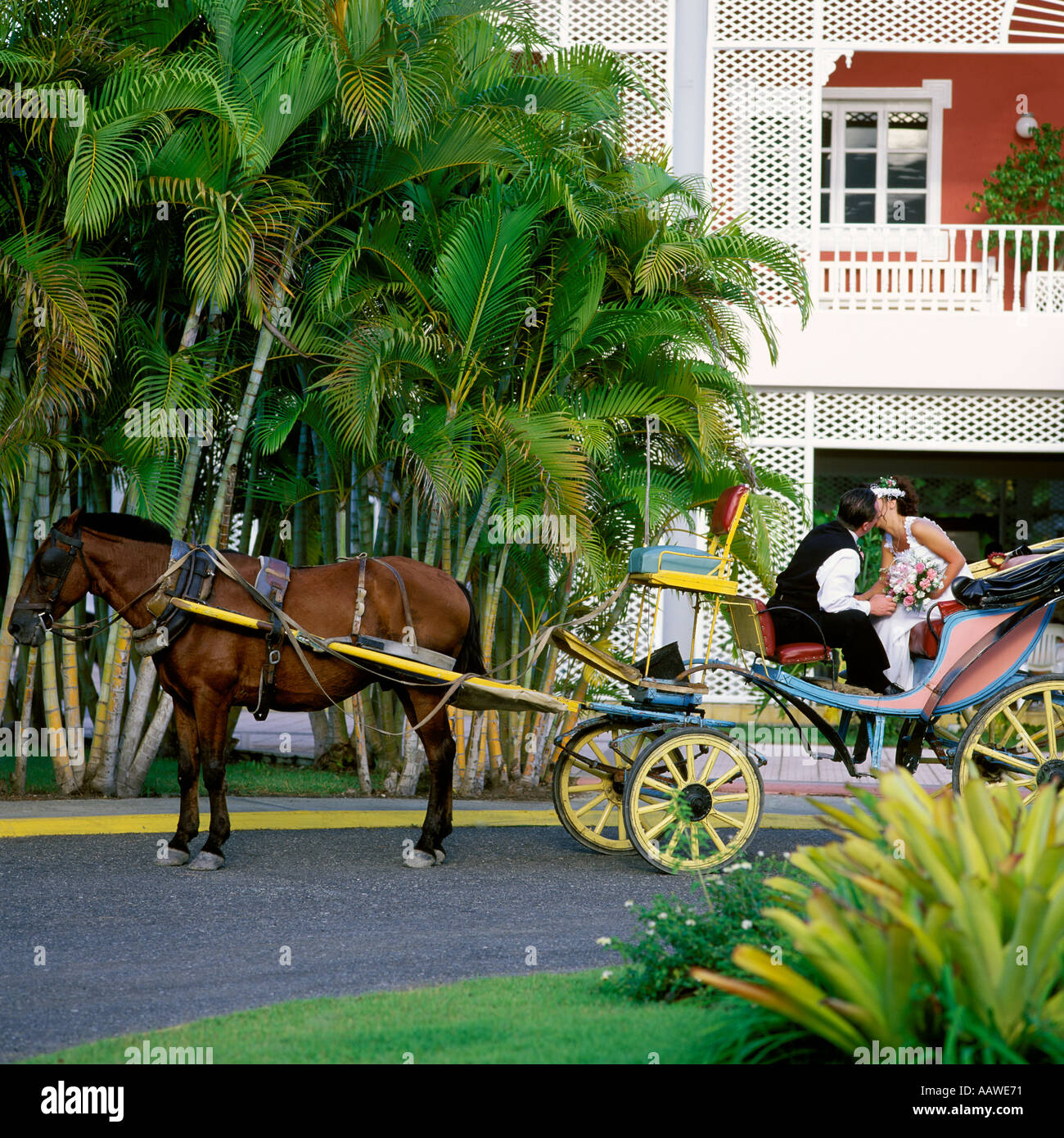 Dominican republic horse carriage hi-res stock photography and images ...