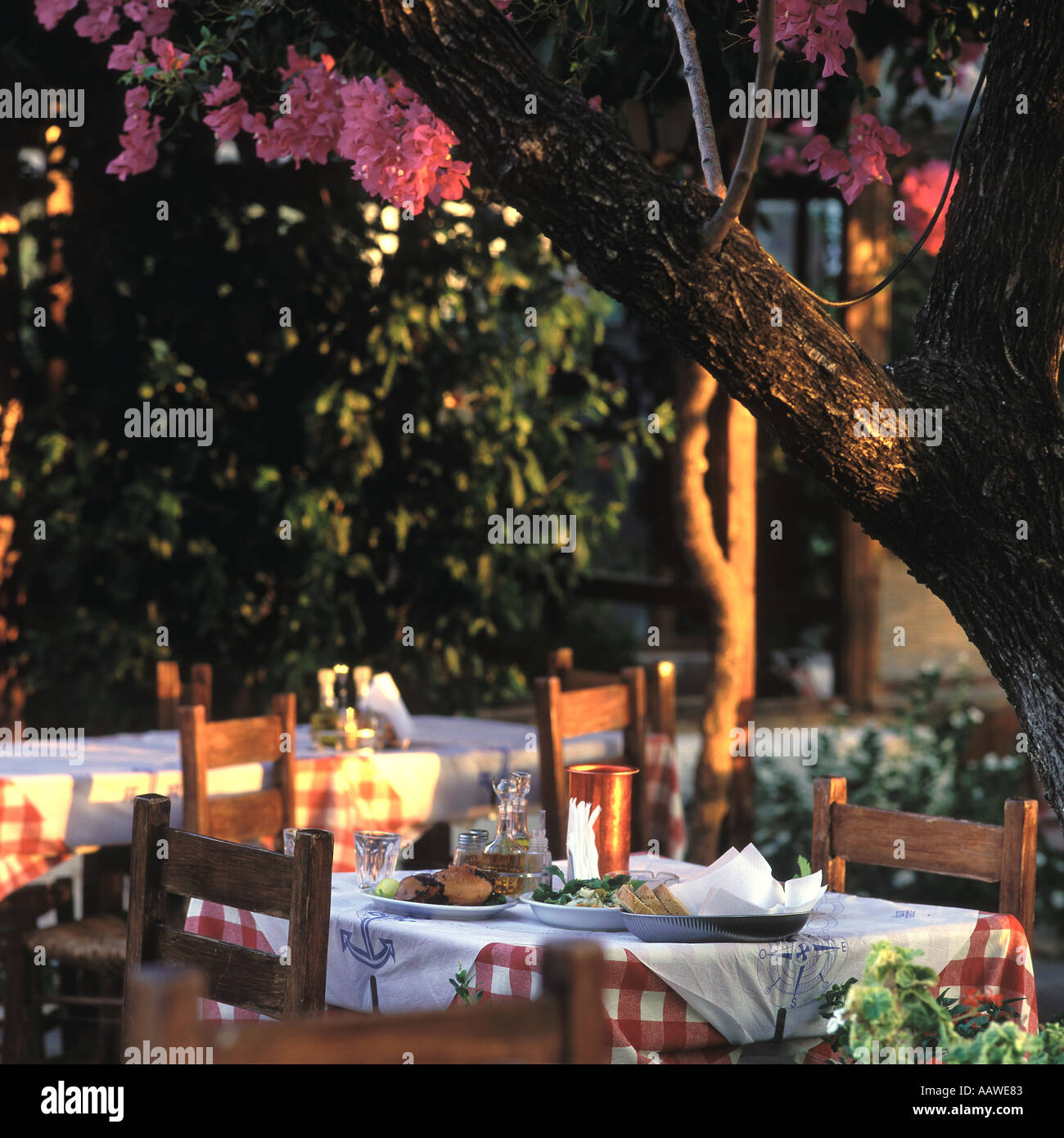 EVENING SCENE IN A GREEK RESTAURANT IN PEFKOS NEAR LINDOS RHODES Stock ...