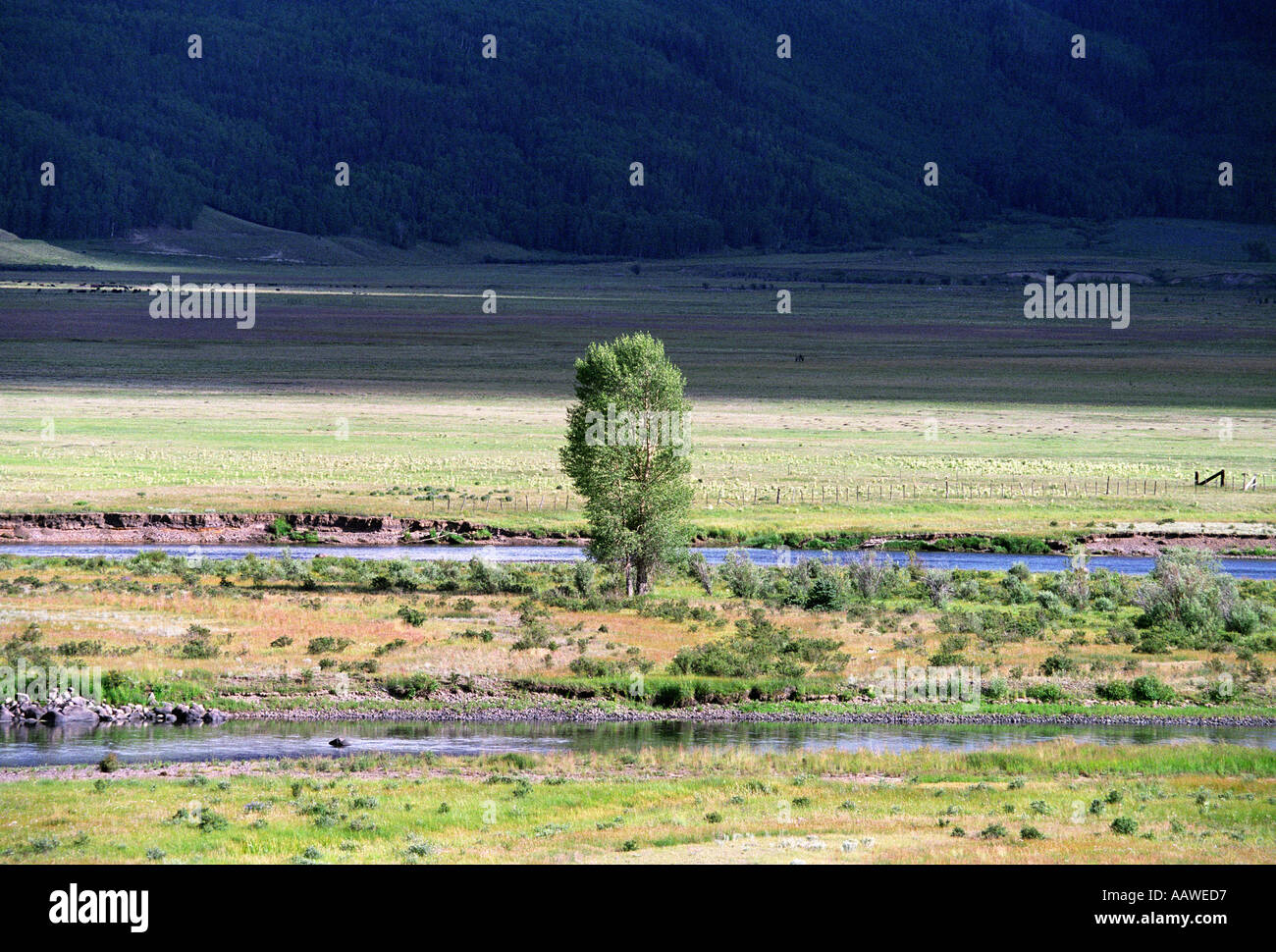 Rio grande river basin hi-res stock photography and images - Alamy