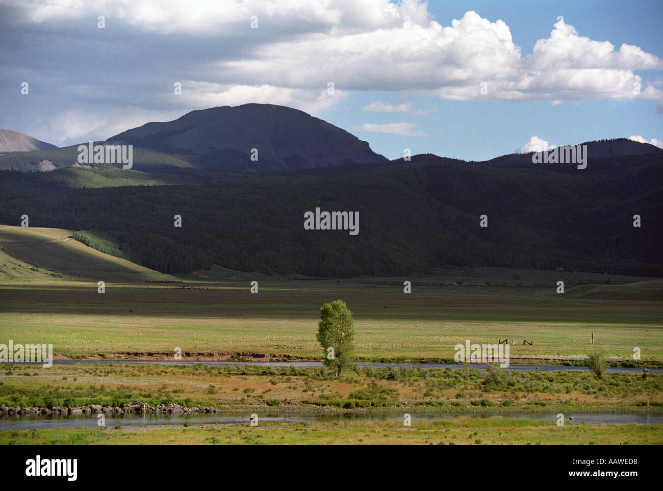 Rio Grande Basin Colorado near the source of the Rio Grande River Stock ...