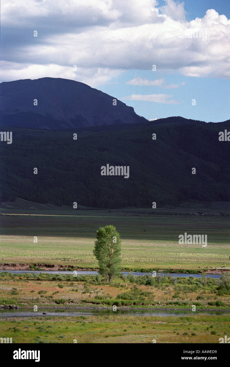 Rio Grande Basin Colorado near the source of the Rio Grande River Stock ...