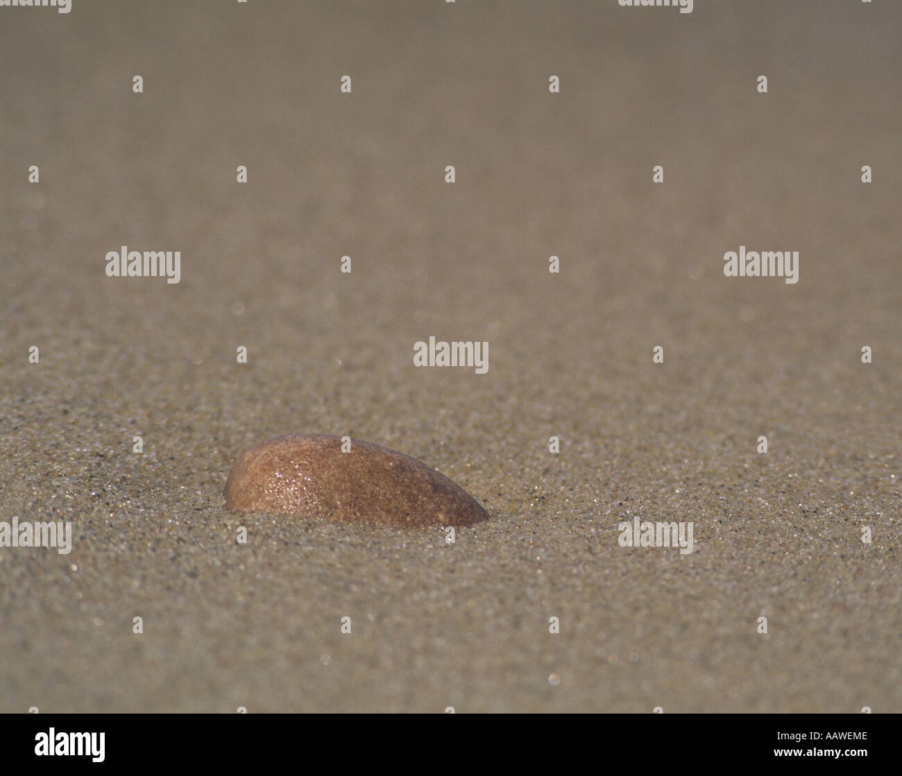 Stone on shore Stock Photo - Alamy