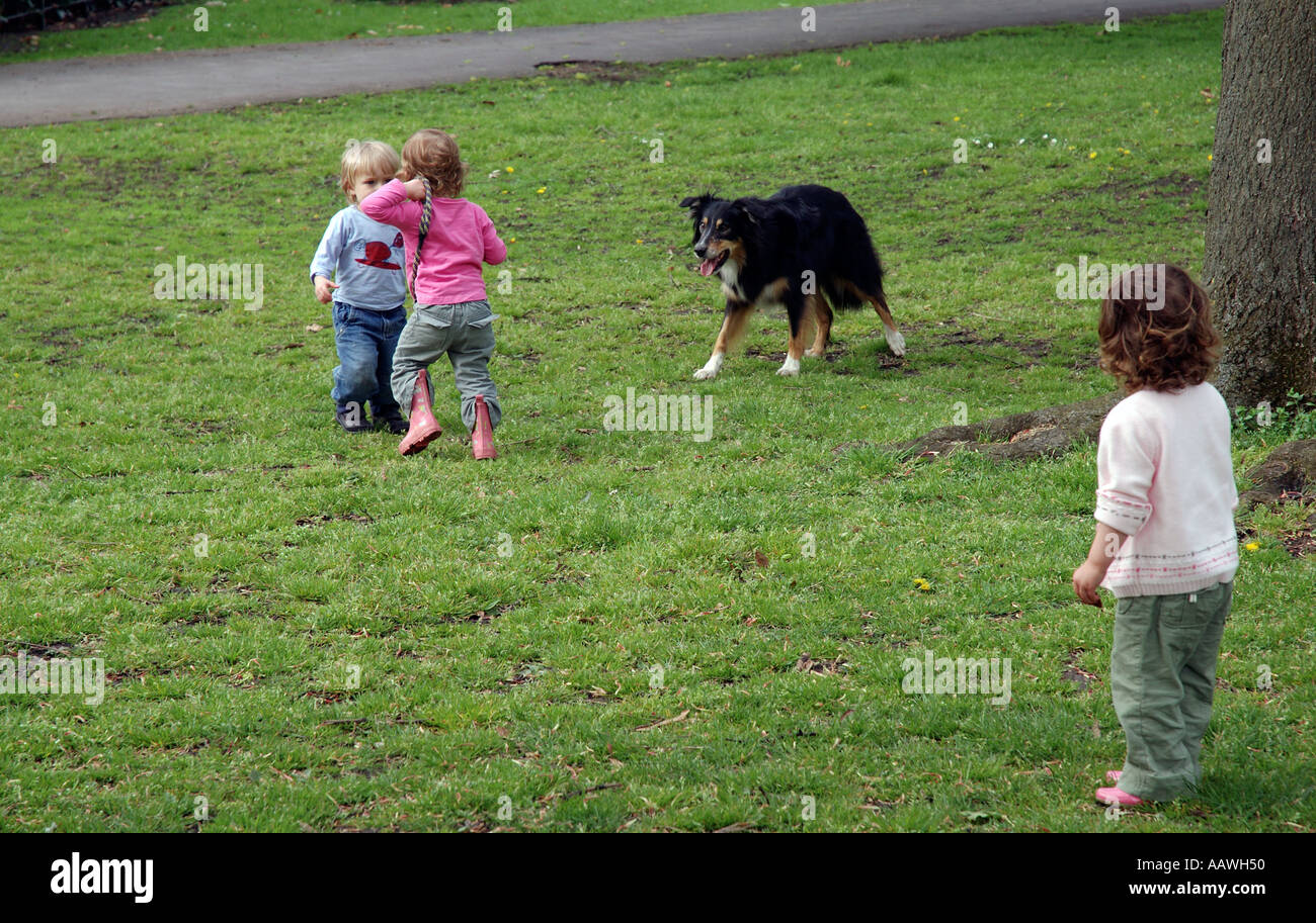 Young children playing in the park with their border collie joining in ...