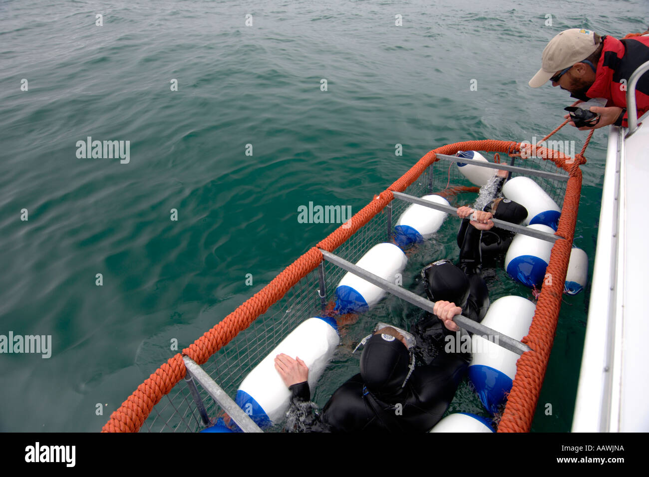 Michael Rutzen talking to divers in the shark diving cage on his boat ...