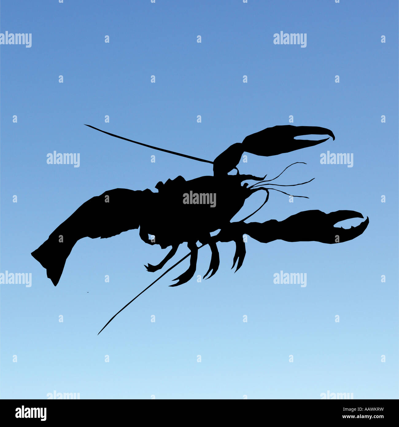 Cancer zodiac signs hi-res stock photography and images - Alamy