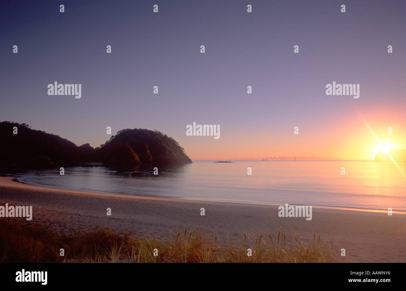 Matapouri bay new zealand hi-res stock photography and images - Alamy