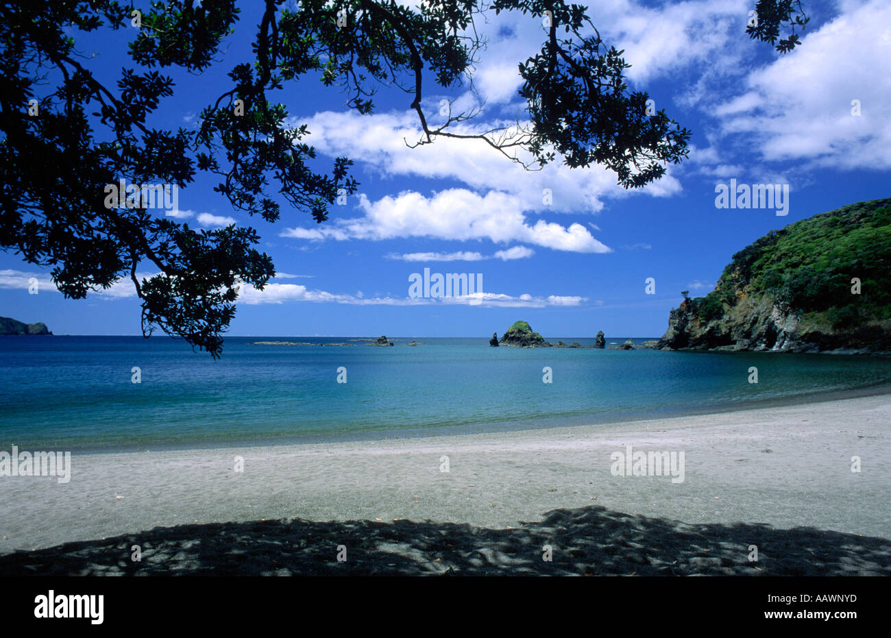 Matapouri bay new zealand hi-res stock photography and images - Alamy