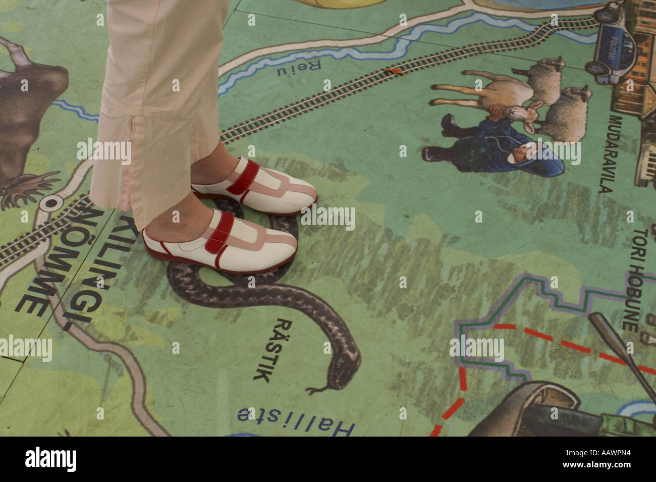 Snake with feet hi-res stock photography and images - Alamy
