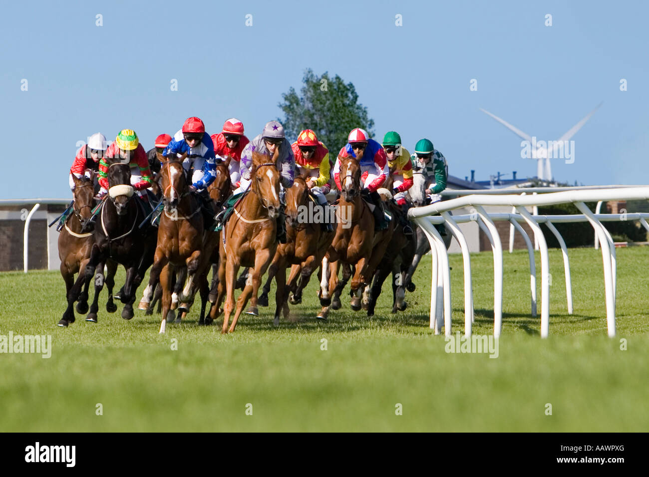 Ground level front view of galloping race horses taking bend at Great ...