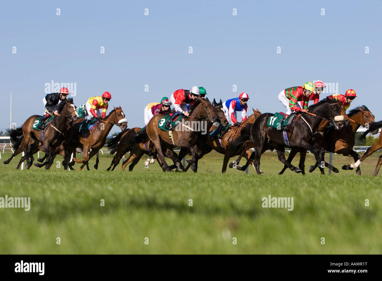 Horse racing great yarmouth racecourse hi-res stock photography and ...