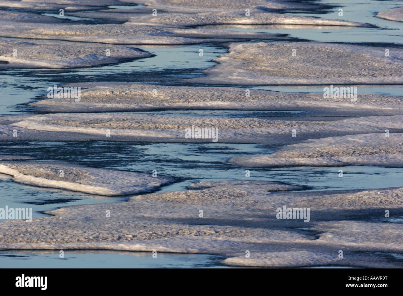 Horizontal composition of melting pools on the sea ice of the Arctic ...