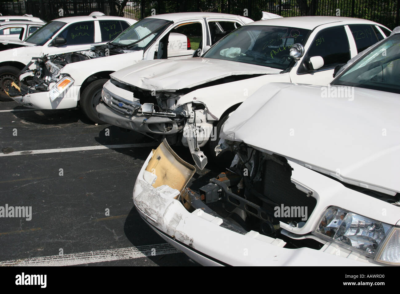 Miami Beach Florida,Miami Beach Convention Center,centre,city auction ...