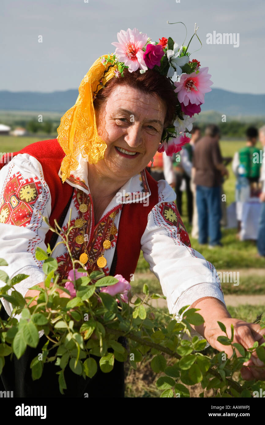 Rosepicker hi-res stock photography and images - Alamy